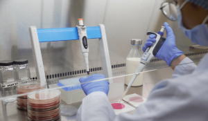 Optimal Laboratories Inc.