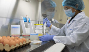 Optimal Laboratories Inc.